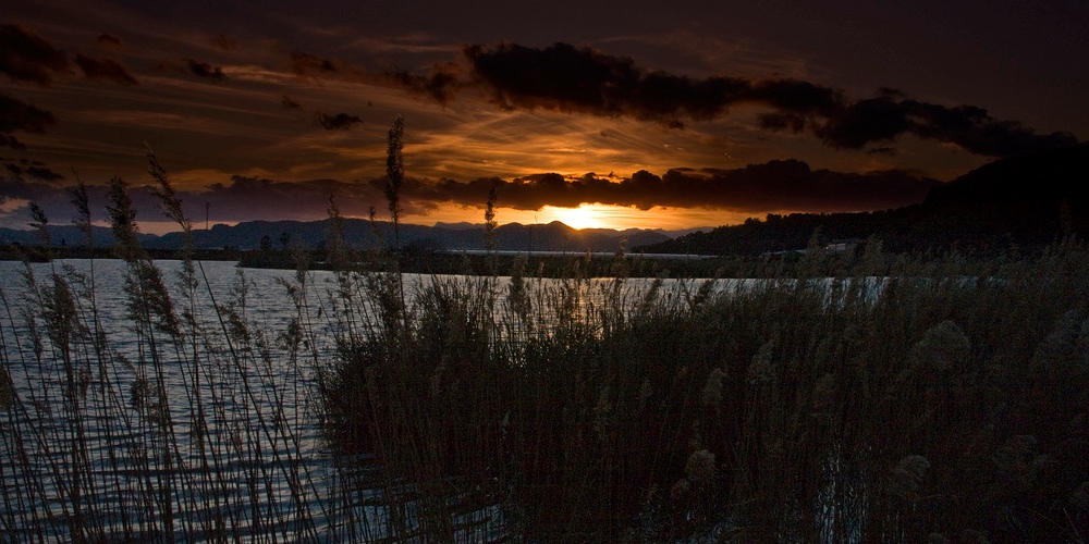 De Pajareo por el Marjal de Peñíscola