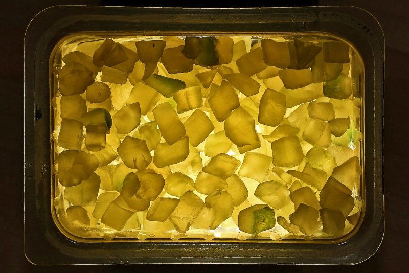 El cidro y el citronat